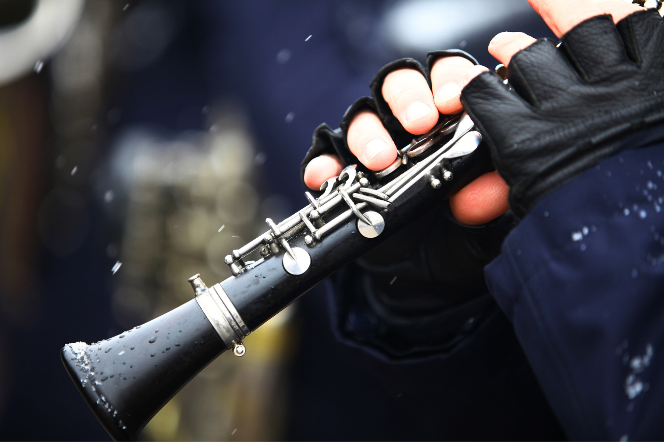 Can a Clarinet Get Too Wet? Understanding the Effects of Moisture on ...