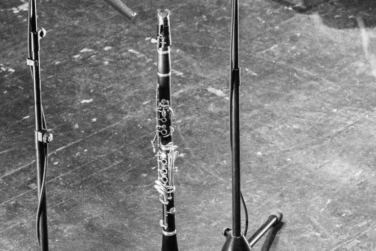 Home [playwoodwinds.com]