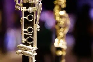 Common Clarinet Problems: Troubleshooting Tips and Solutions ...
