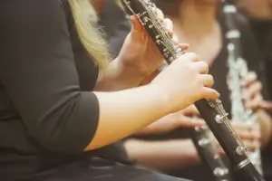How Do Clarinets Make Sound: A Simple Explanation - PlayWoodwinds