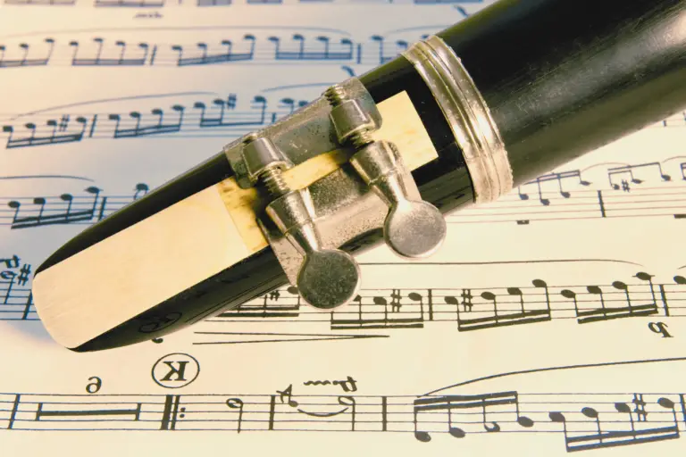 How to Clean a Clarinet Mouthpiece: A Step-by-Step Guide - PlayWoodwinds