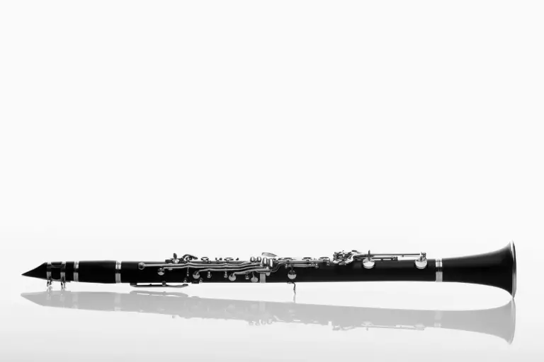 What Clarinet Did Benny Goodman Play? - PlayWoodwinds