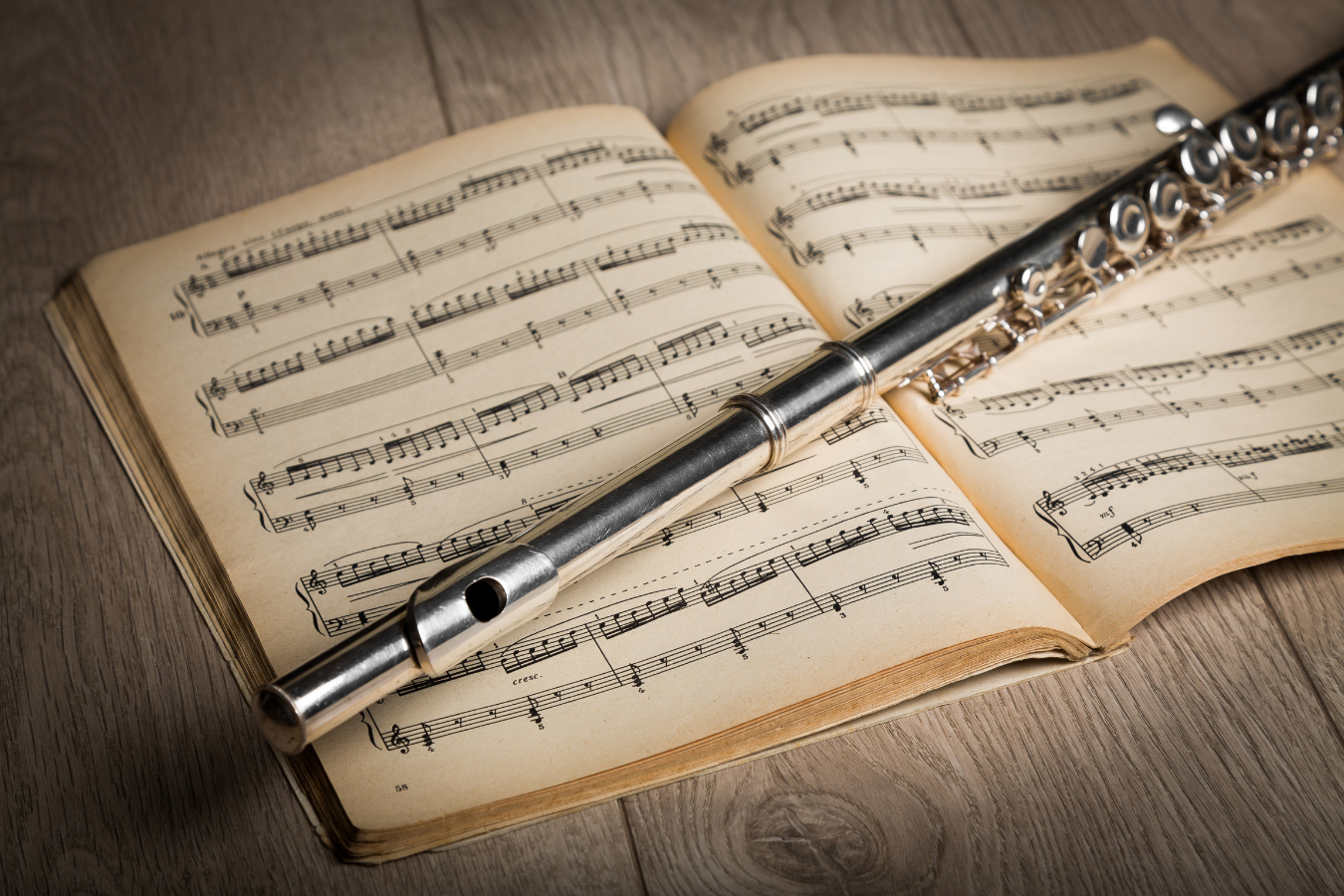 How Much Do Flutes Cost: A Guide to Pricing Factors and Variations ...