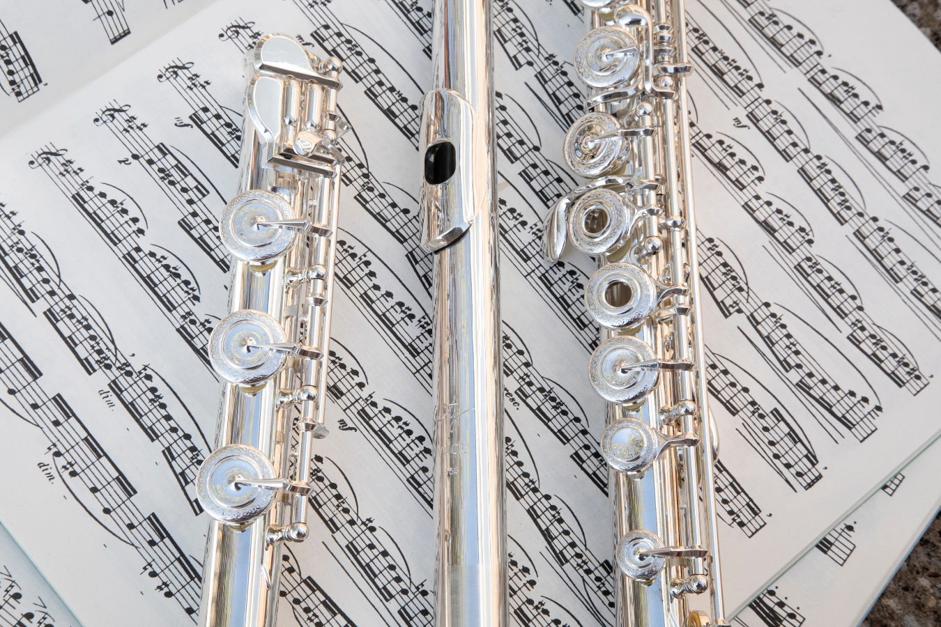How Many Types Of Flutes Are There: A Comprehensive Overview ...