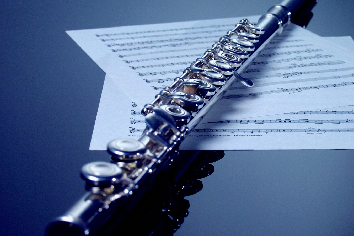 Flute vs. Piccolo: Understanding Key Differences and Similarities ...