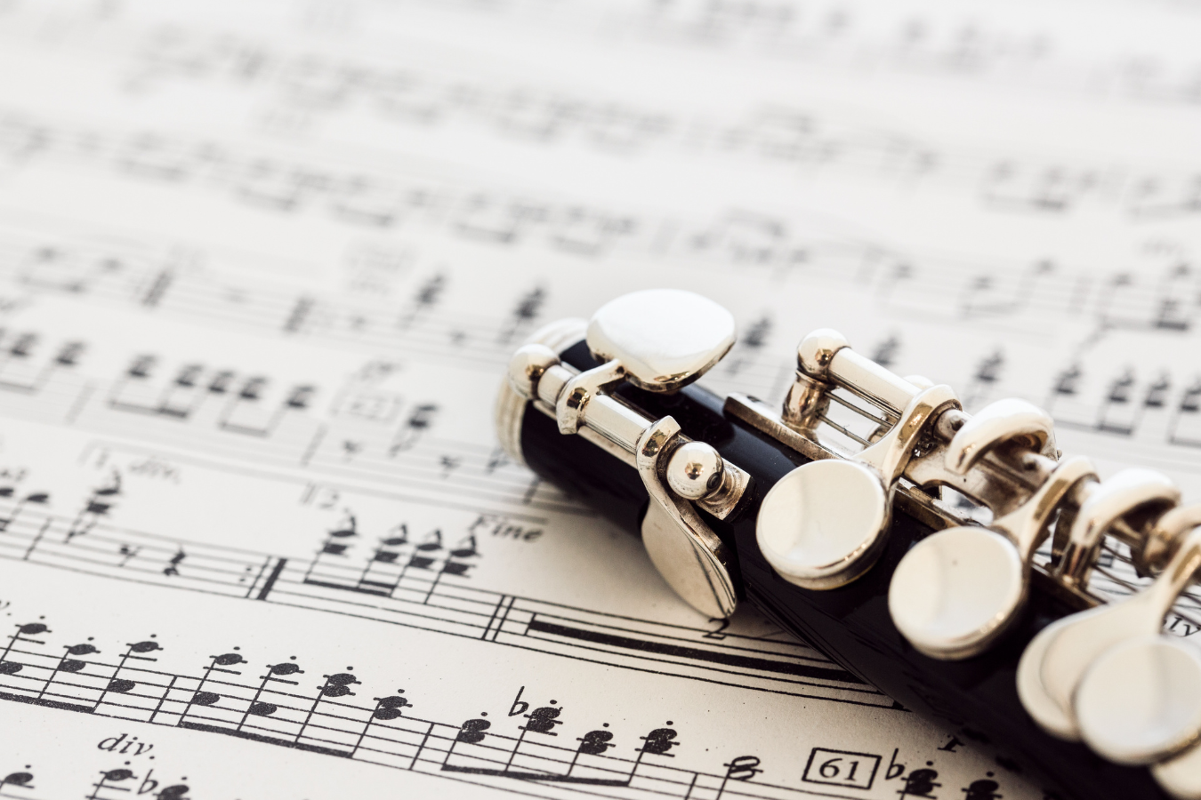 Should I Get an Open-Hole or Closed-Hole Piccolo? Key Differences ...