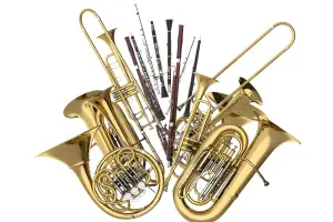 What are the best reeds for beginners? A guide to starting strong ...