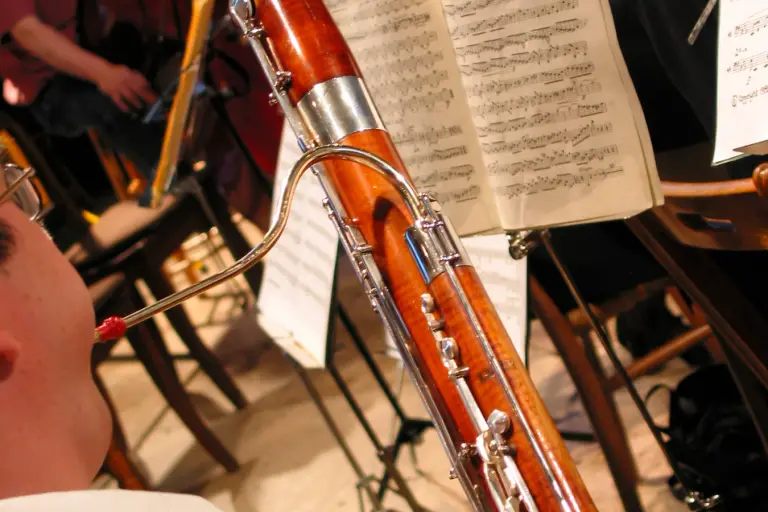 Exploring the Bassoon’s Range and Tone - PlayWoodwinds
