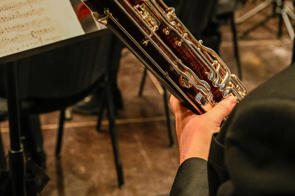 What is a Bassoon Ensemble? Exploring the Group Sound - PlayWoodwinds