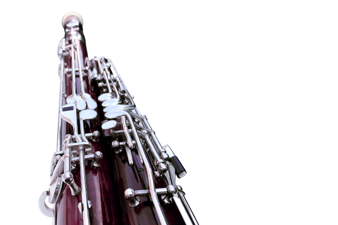 The History of the Bassoon: From Invention to Modern Day - PlayWoodwinds