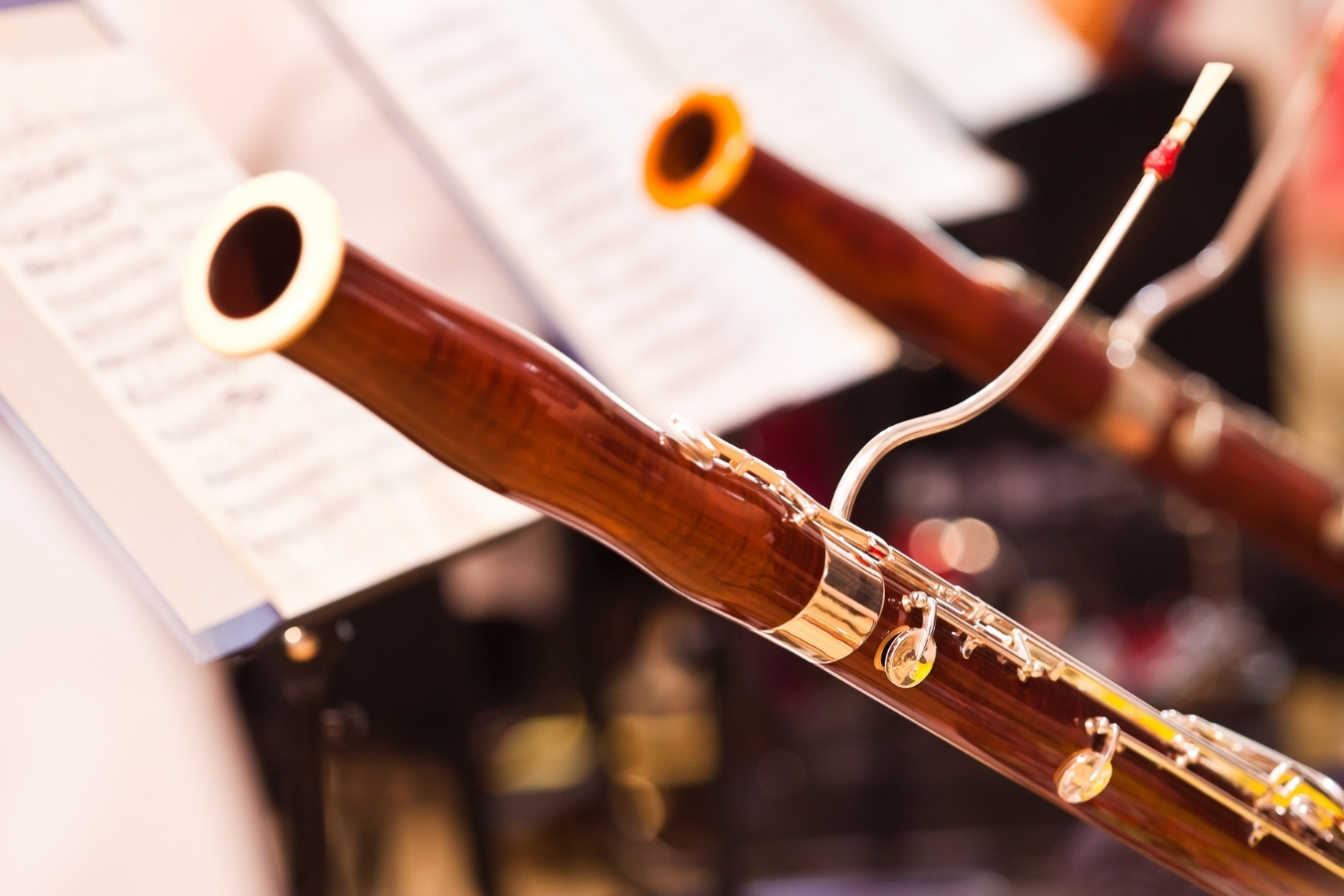 Contrabassoon vs. Bassoon: What’s the Difference? - PlayWoodwinds