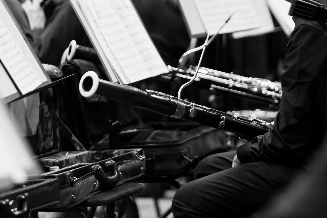 What is the Difference Between Bassoon and Contra Bassoon? - PlayWoodwinds